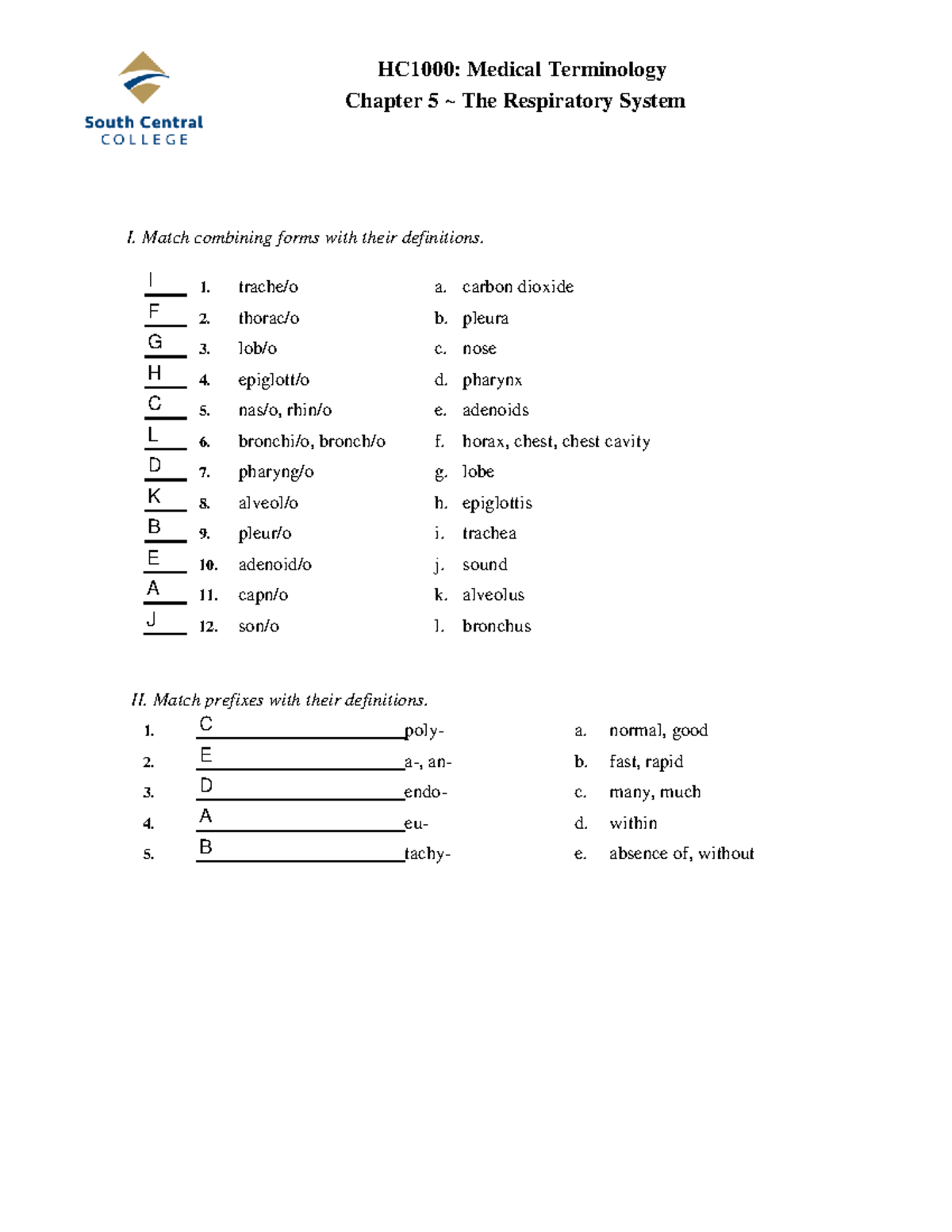 Chapter 5 Worksheet (PDF) - Chapter 5 ~ The Respiratory System I. Match ...