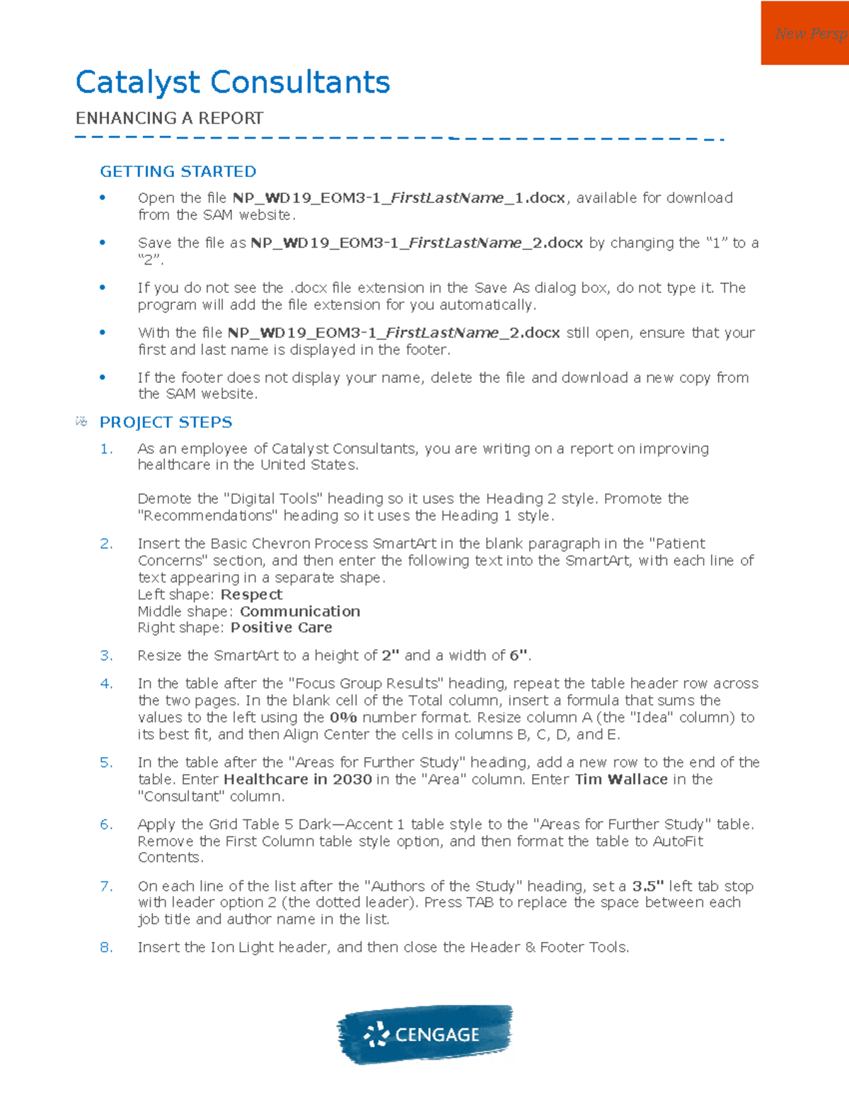 Instructions NP WD19 EOM3-1 - Catalyst Consultants ENHANCING A REPORT GETTING STARTED Open the ...