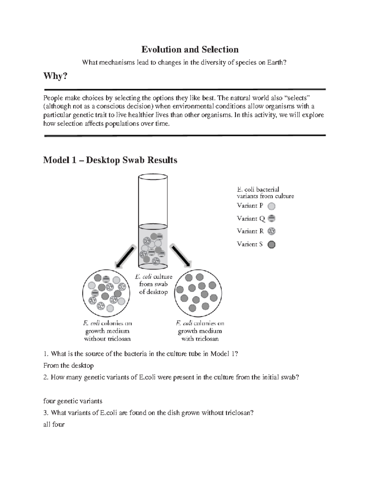 - 21 Evolution and Selection Bio - Evolution and Selection What ...