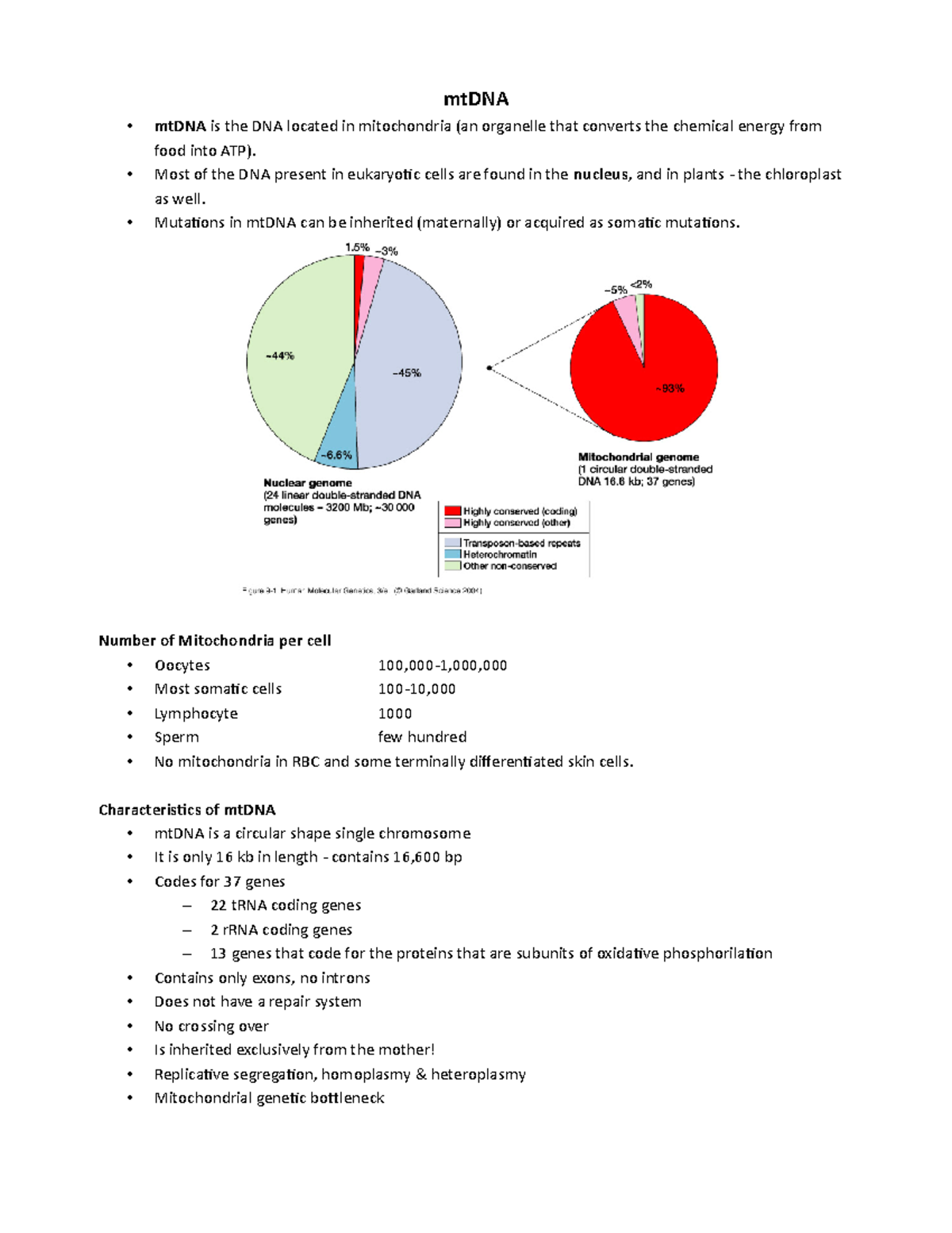 Mt DNA - Mt DNA - mtDNA mtDNA is the DNA located in mitochondria (an ...