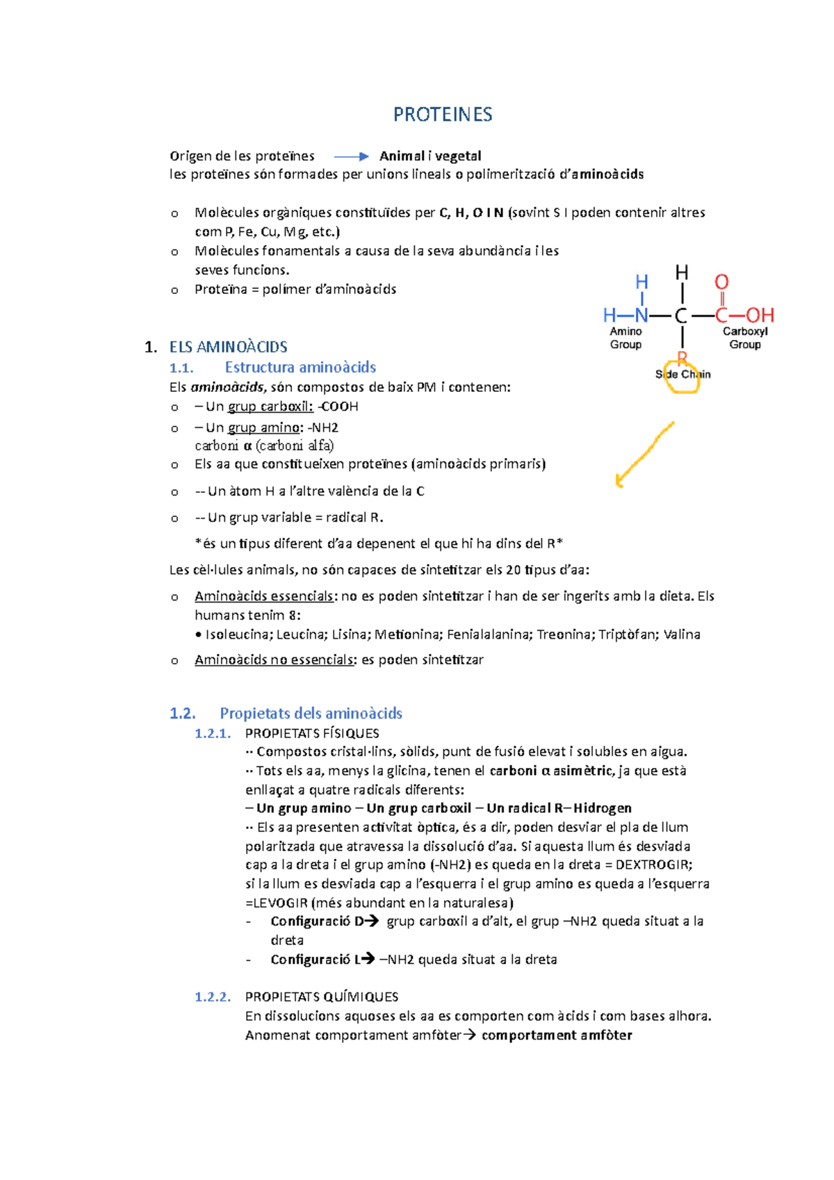 Proteines[ 6217] - APUNTS DE LES PROTEINES DE 1R DE BATXILLERAT - PROTEINES Origen de les ...