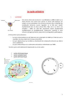 Cours - La différenciation cellulaire - La différenciation cellulaire A ...