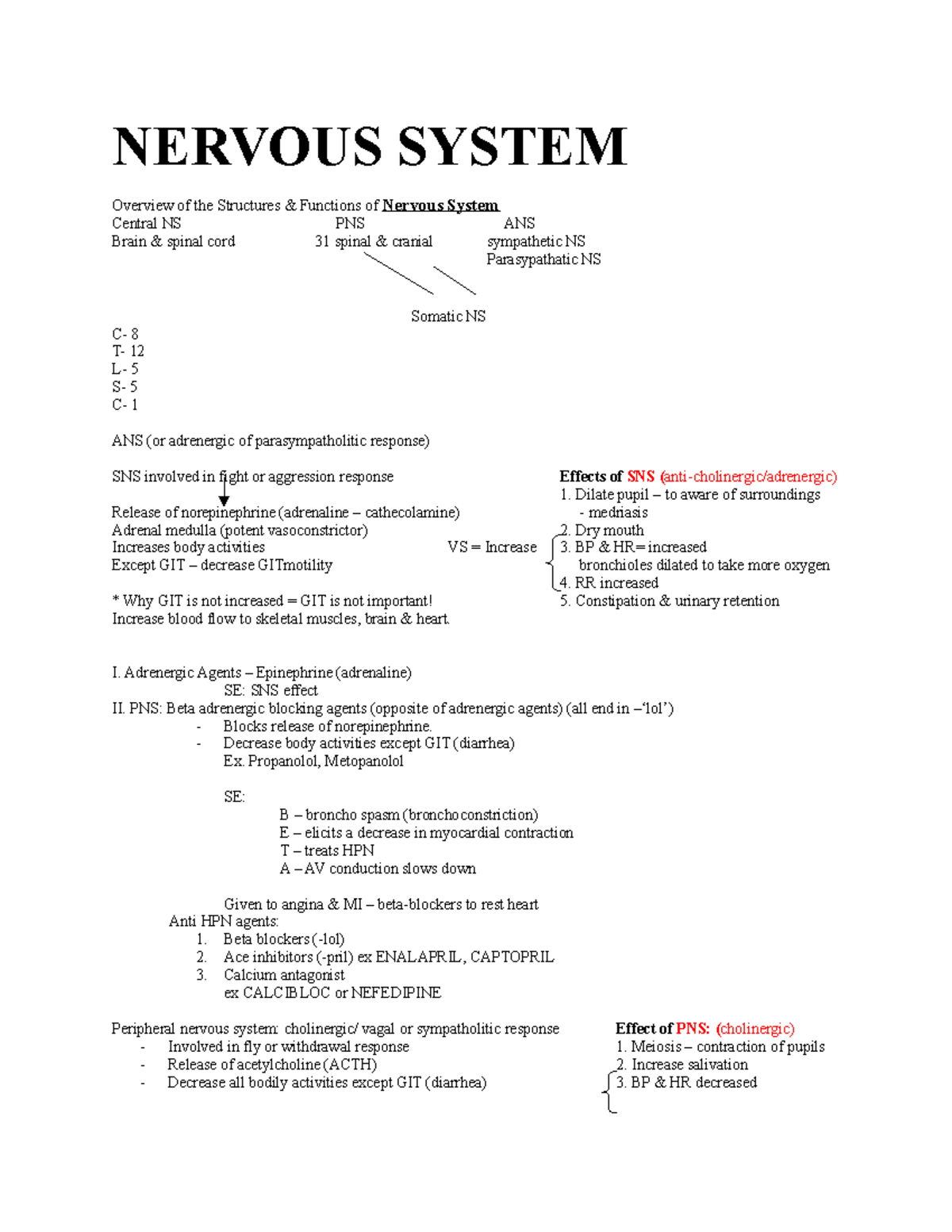 241039123 overview of nervous system - NERVOUS SYSTEM Overview of the ...