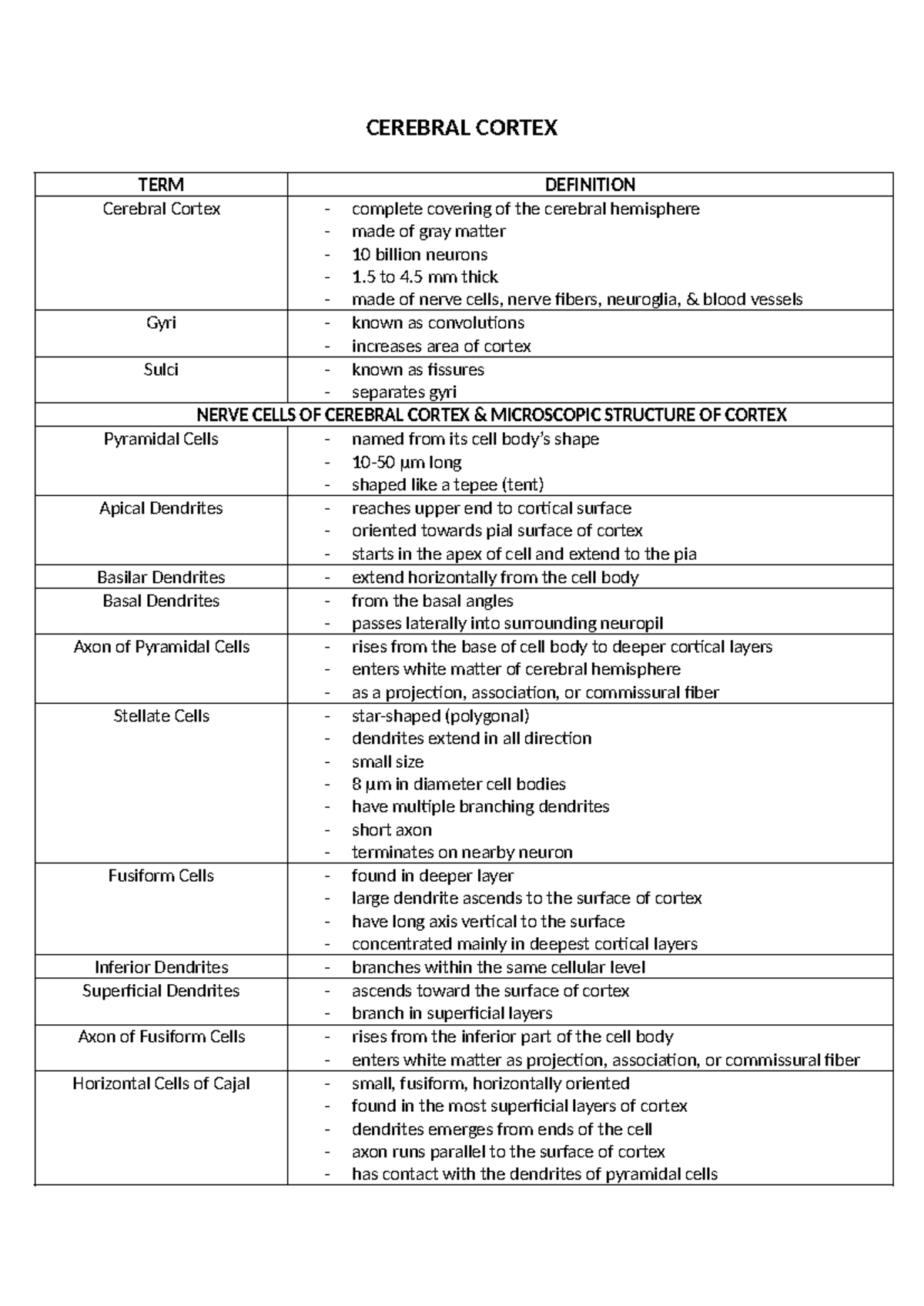 Cerebral Cortex - CEREBRAL CORTEX TERM DEFINITION Cerebral Cortex ...
