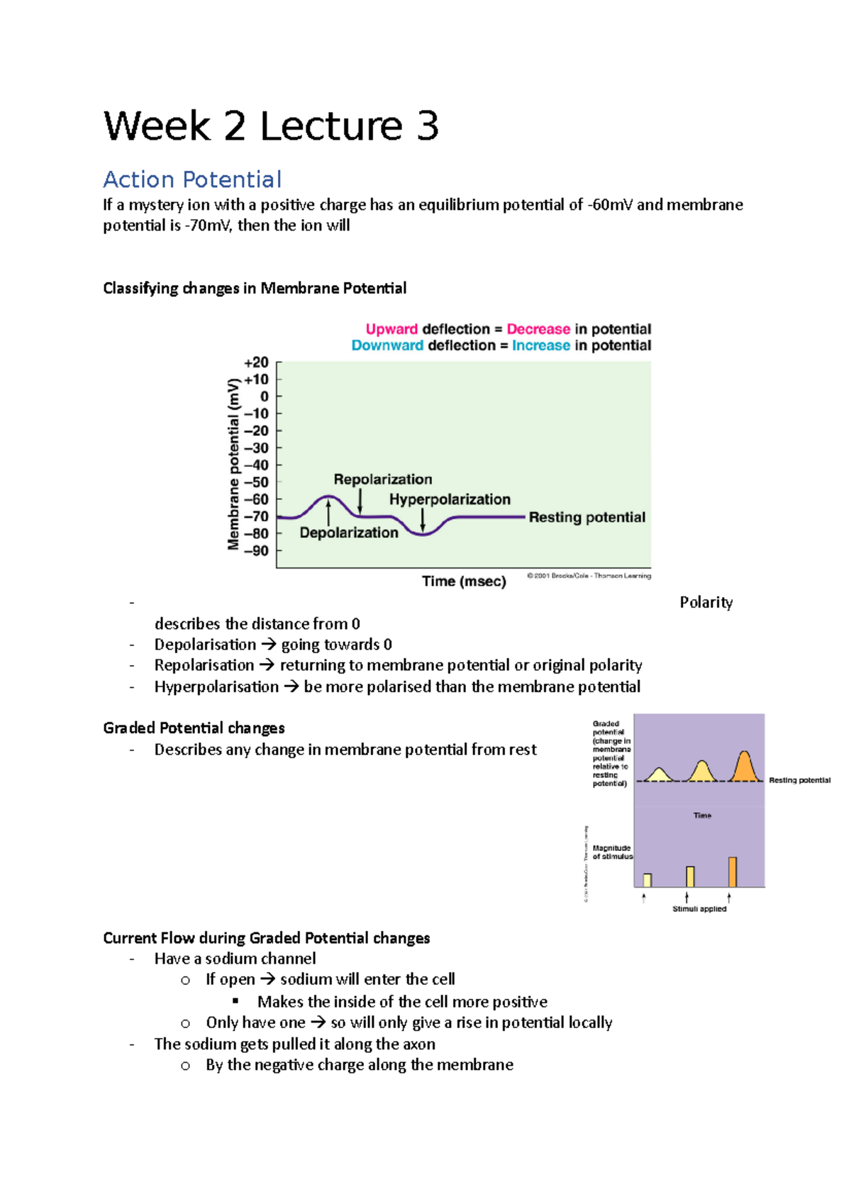 Week 2 Lecture 3 - Action Potential - Studocu