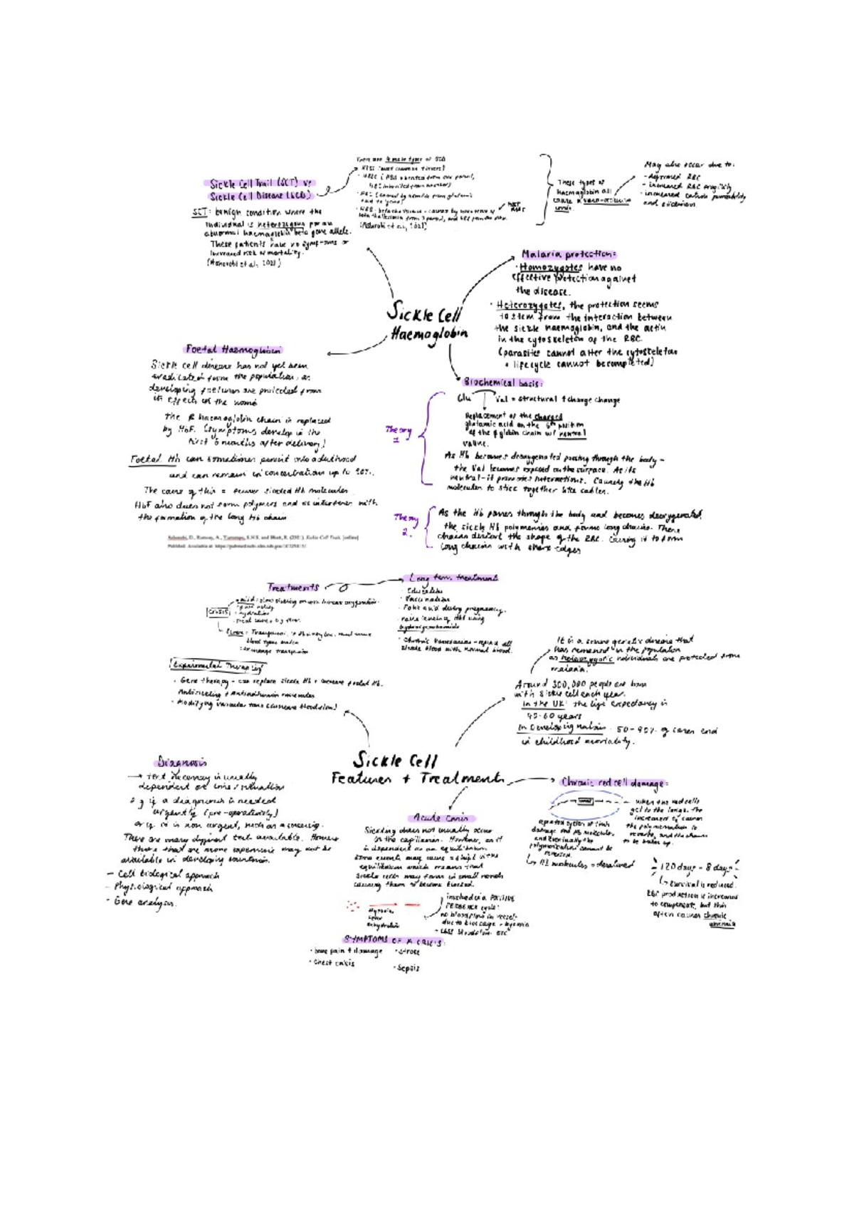 Sickle CELL Mindmaps - need to open one sox - BIOL20000 - Studocu