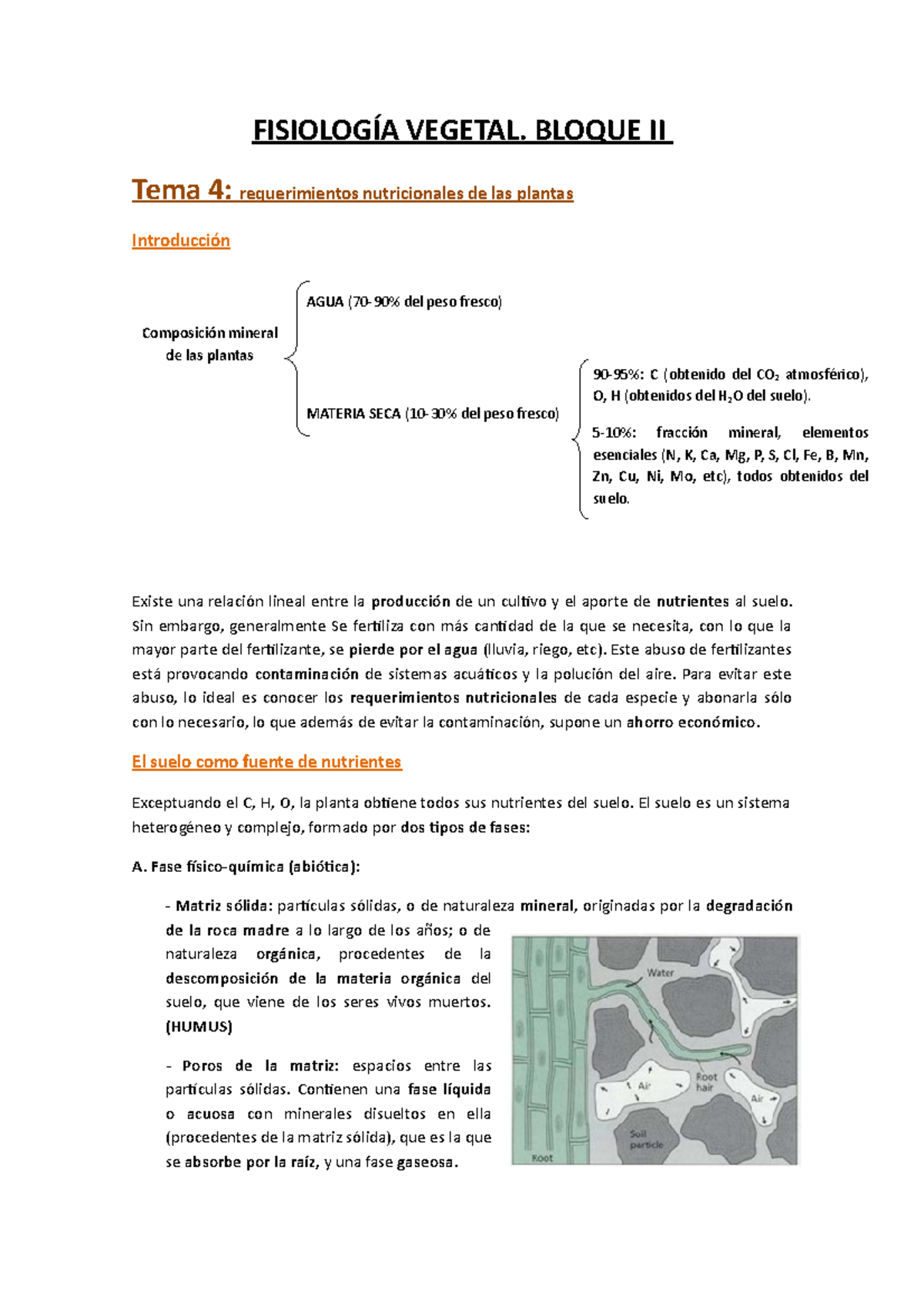 Fisiologia Vegetal Bloque 2 - FISIOLOGÍA VEGETAL. BLOQUE II Tema 4 ...