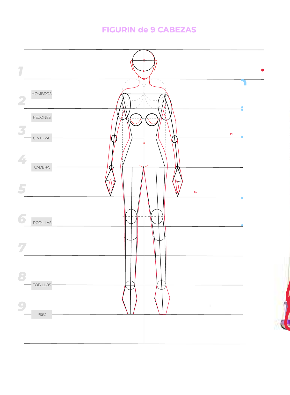 Esquema figurin 9 cabezas copia 2 - programa de formación desposte y ...