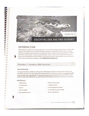 Chapter 7 Study Guide KEY - Biology: The Core, 3e (Simon) Chapter 7 ...