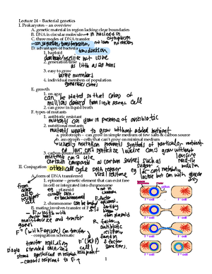 Lec21 - asdasd - 1 Lecture 21 – Aberrant Ploidy I. Different euploidy ...