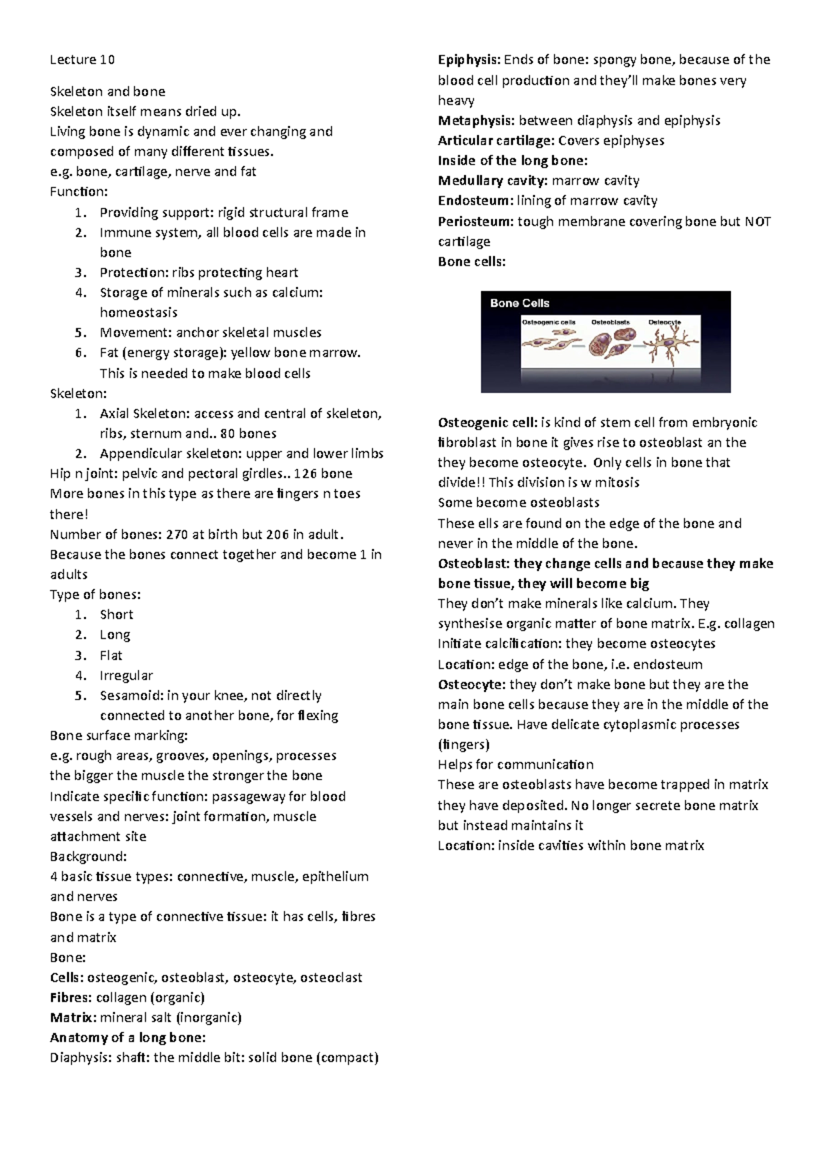 Lecture 10 - Lecture 10 Skeleton and bone Skeleton itself means dried ...
