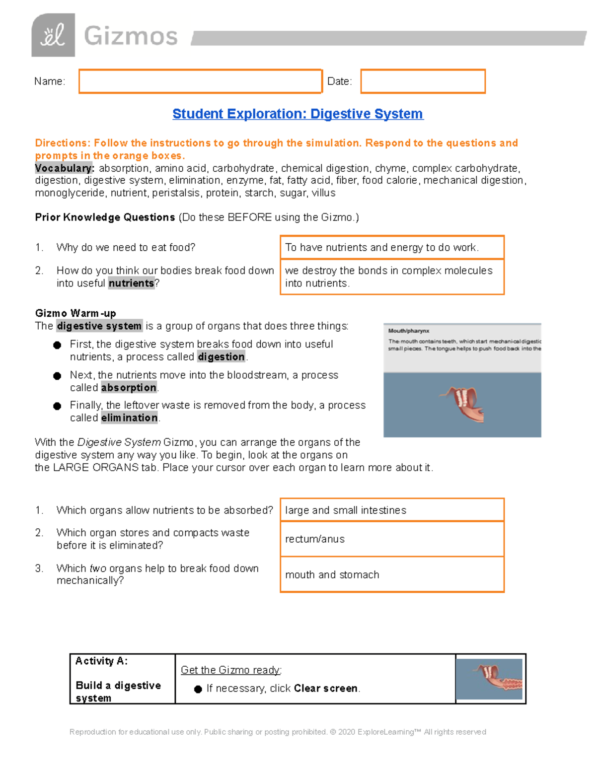 Macromolecules and the Digestive System -Gizmo - Name: Date: Student ...