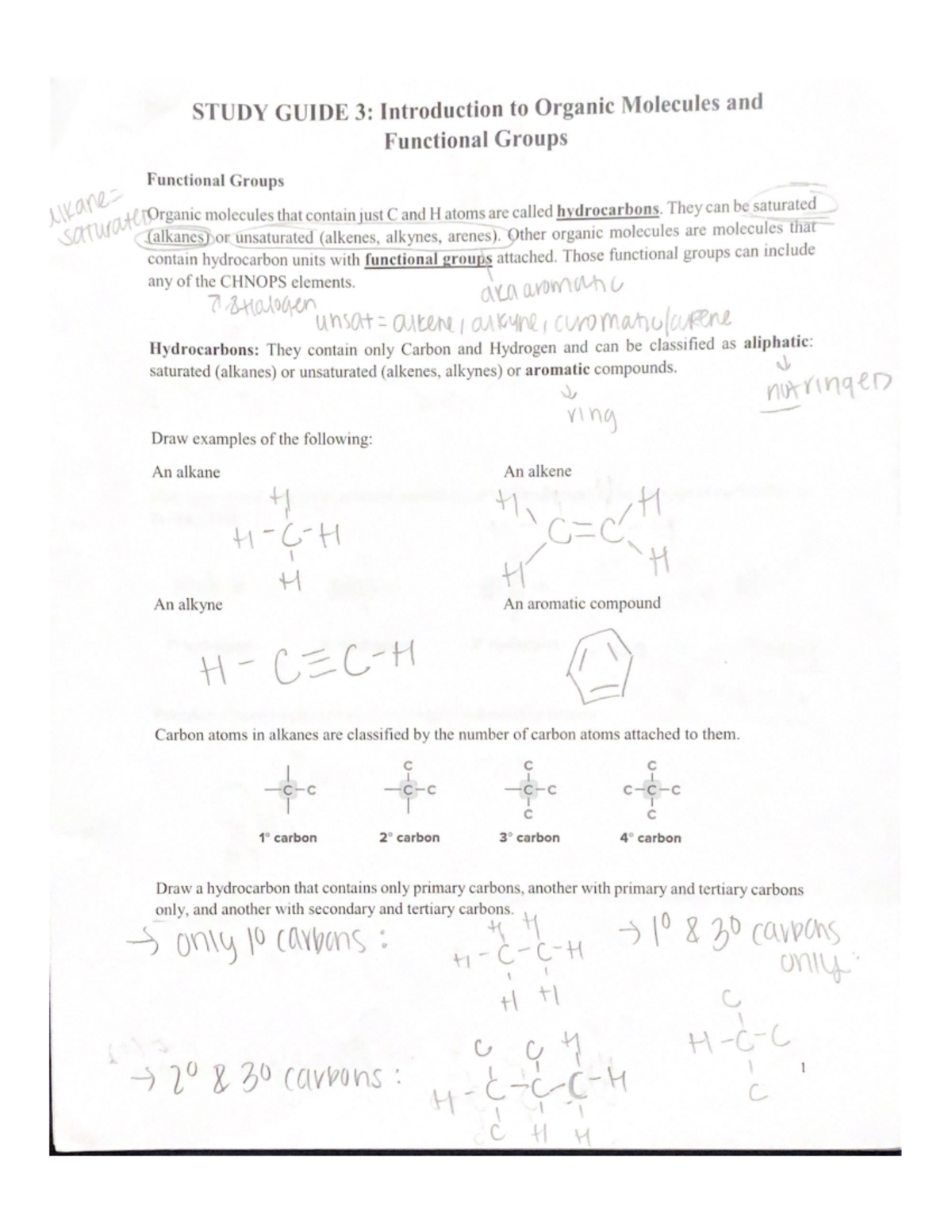 Study Guide 3: Organic Molecules and Functional Groups - STUDY GUIDE 3 ...