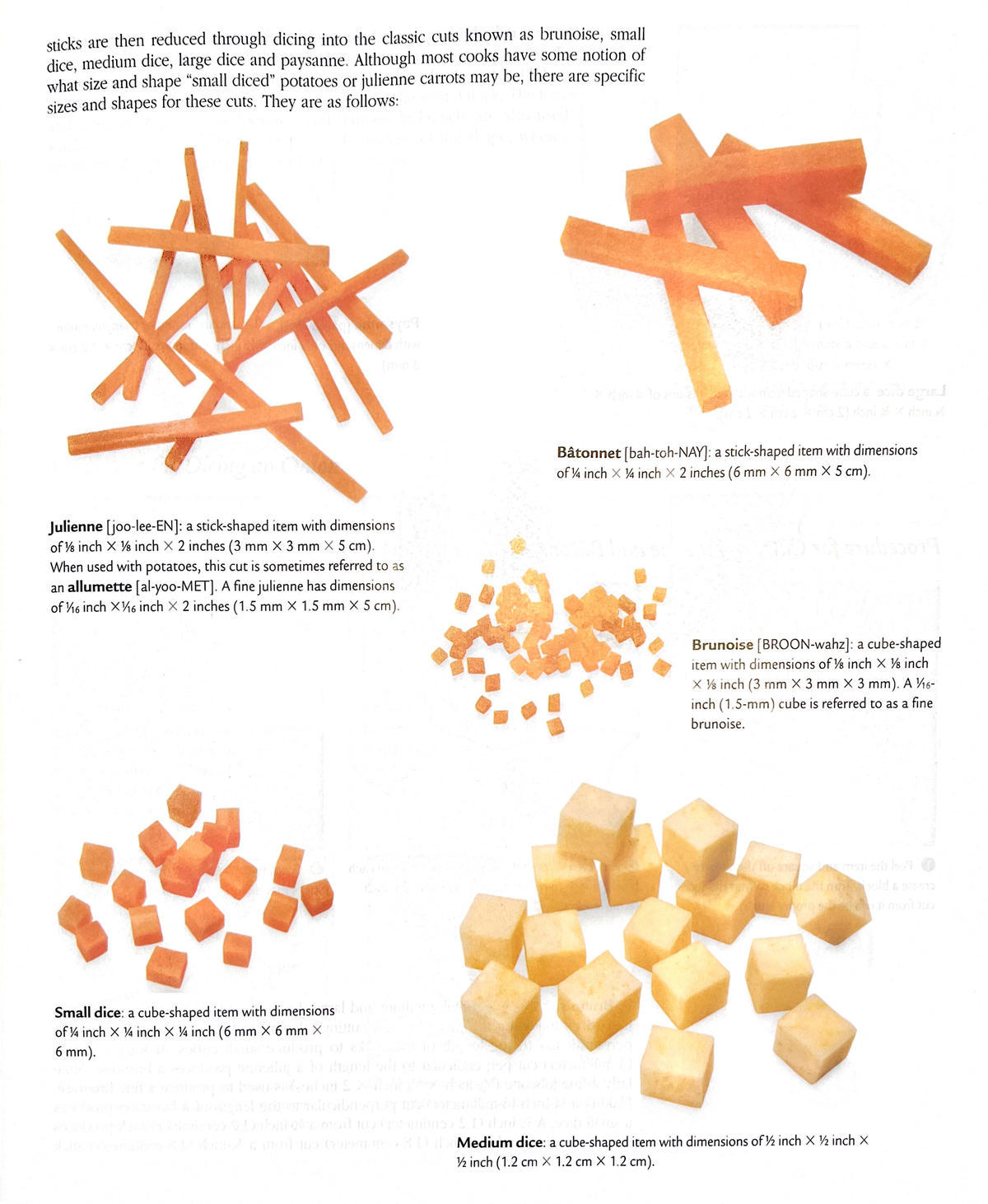 Knife Skills Review 8 - FSS 1203C - Studocu