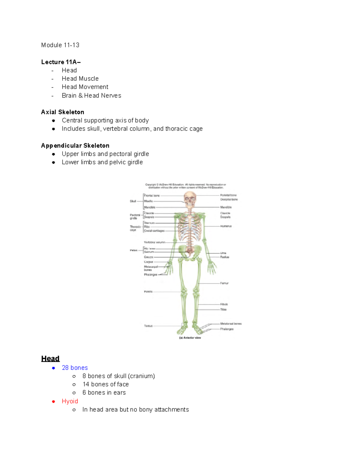 Anatomy – Exam #4 (Study Guide) - Module 11- Lecture 11A– - Head - Head Muscle - Head Movement ...