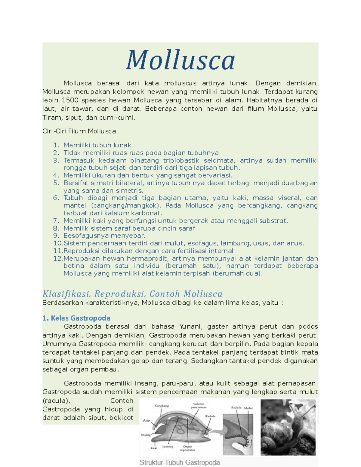 Mollusca - high school biology subject school notes - Mollusca Mollusca ...