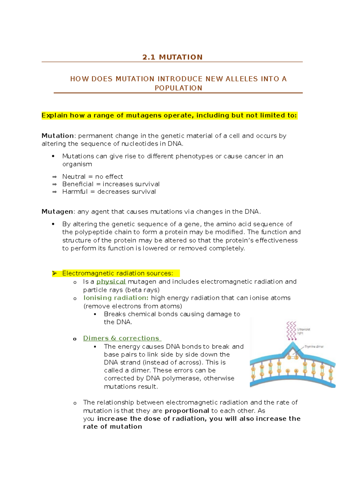 Genetic Change Notes - 2 MUTATION HOW DOES MUTATION INTRODUCE NEW ...