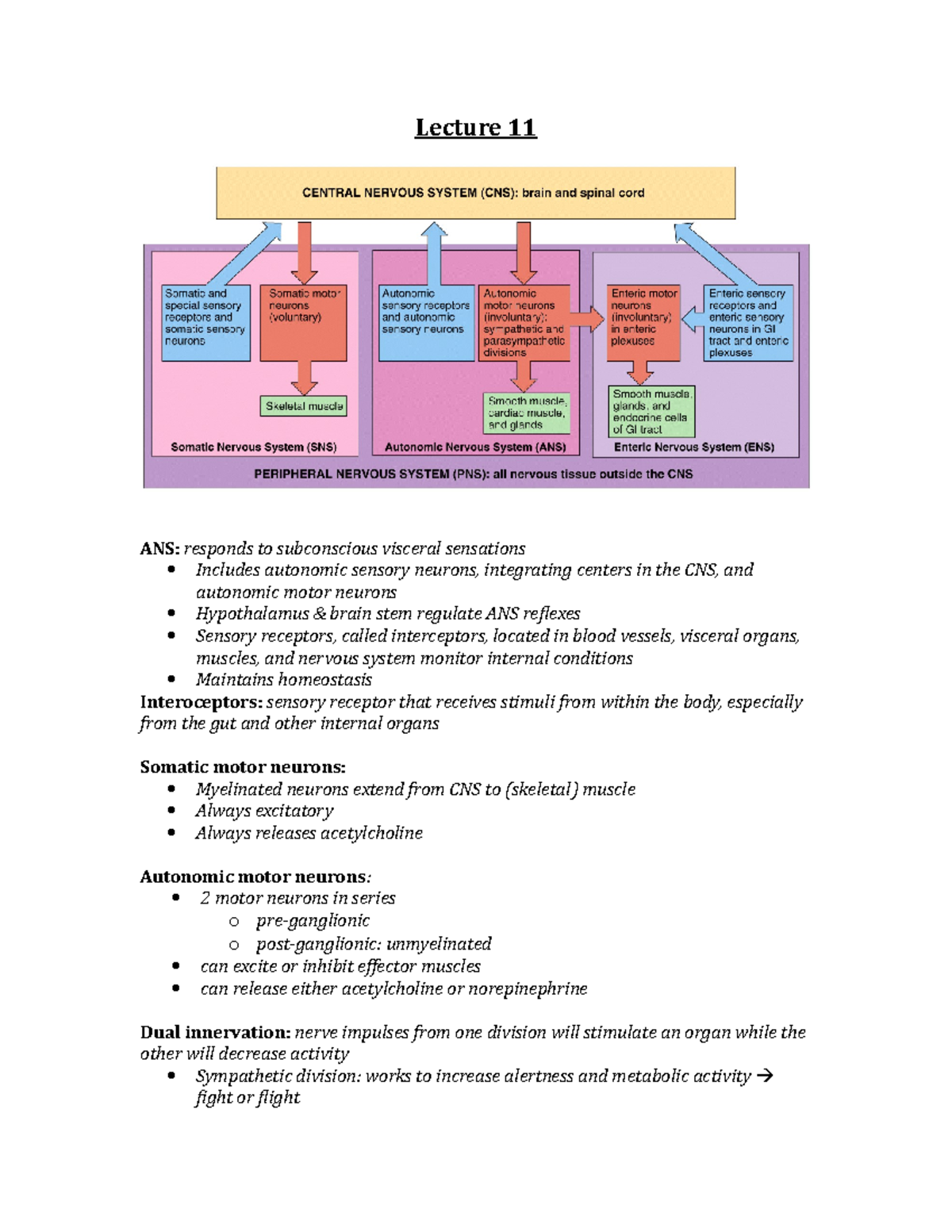 Bio 110 unit 11 Review - Lecture notes 11 - Lecture 11 ANS: responds to ...