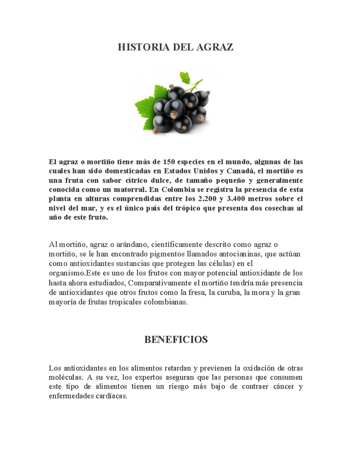 Historia del Agraz - HISTORIA DEL AGRAZ El agraz o mortiño tiene más de ...