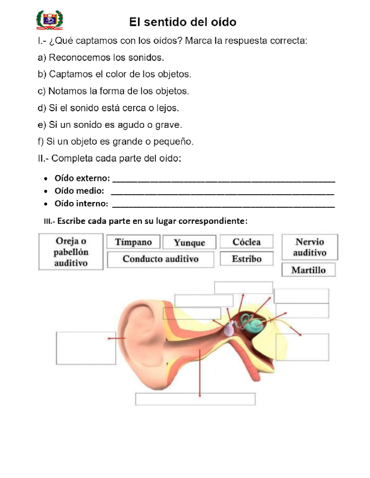 Ficha de sentido del oído - Ciencia y Tecnologia - Studocu