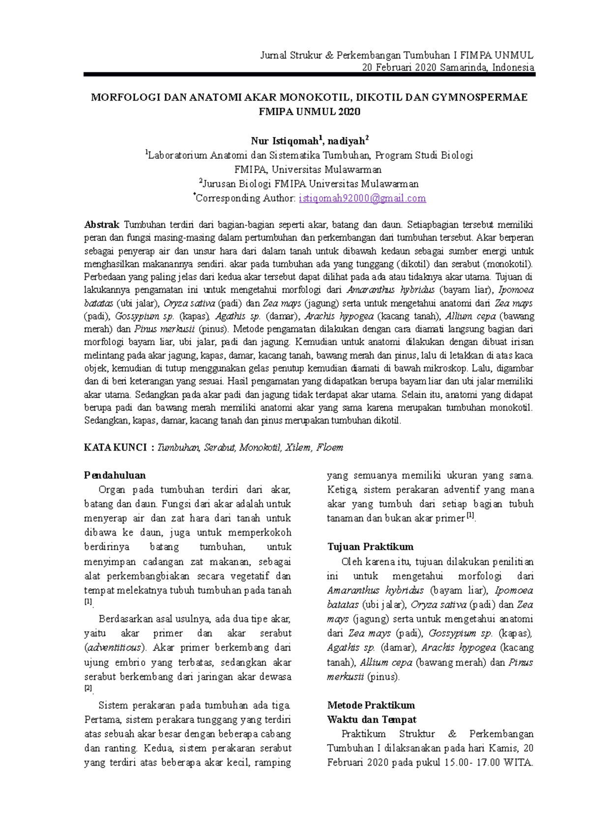 Morfologi DAN Anatomi AKAR Monokotil jurnal isti - 20 Februari 2020 ... Morfologi DAN Anatomi AKAR Monokotil jurnal isti - 20 Februari 2020 ...