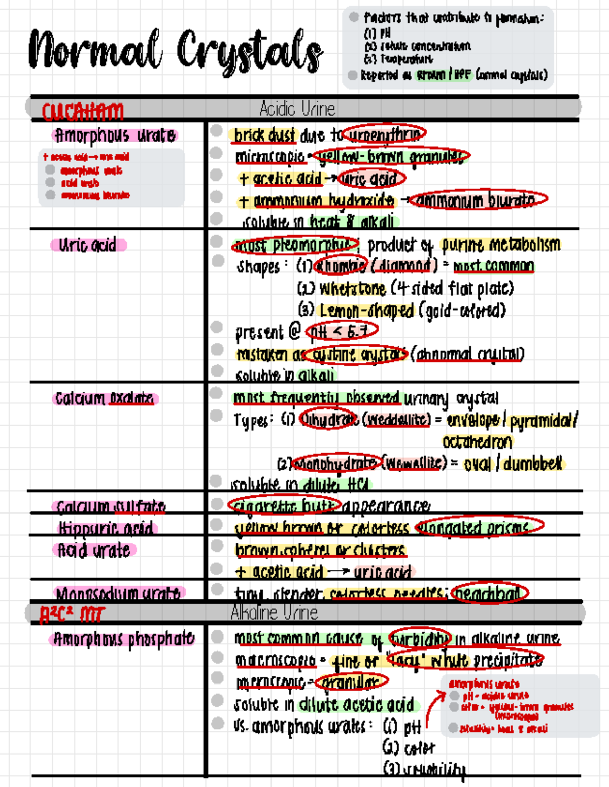 #CMarchives Urinary Crystals 231212 001406 - Normal Crystals Acidic ...