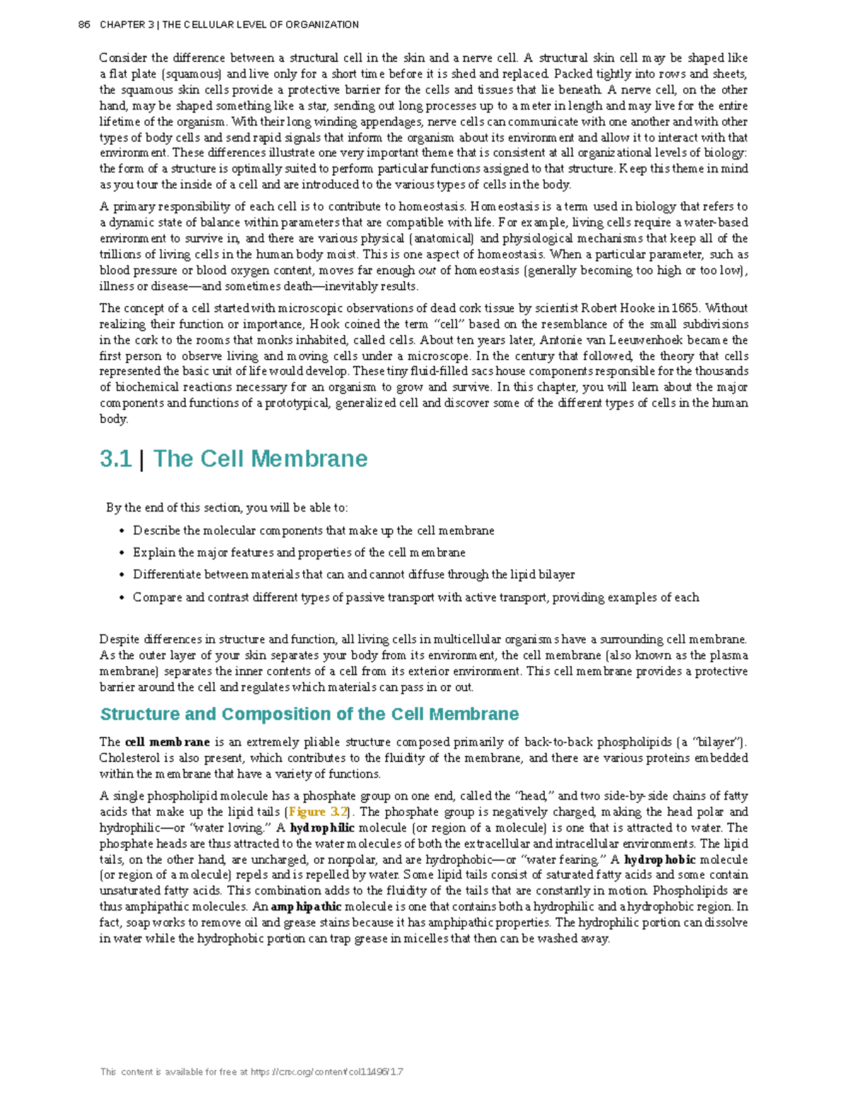 Anatomy-physiology-32 - Consider the difference between a structural ...