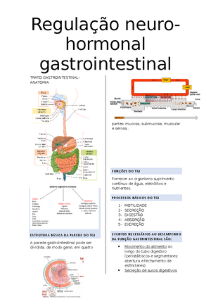 Peritonio e cavidade peritoneal - Peritônio Generalidades do peritônio ...