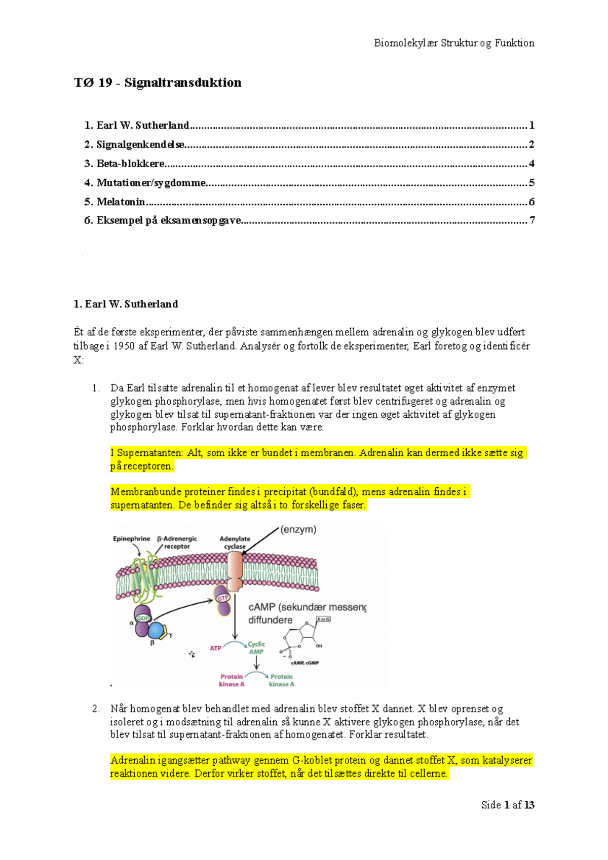 TØ 19 - Signaltransduktion - TØ 19 - Signaltransduktion Earl W. - Studocu