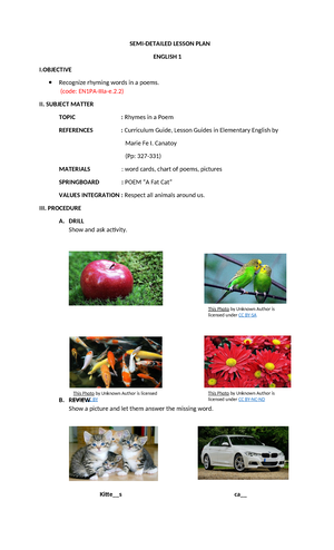 Detailed Lesson PLAN SIR Faust - Instructional Planning (The process of ...