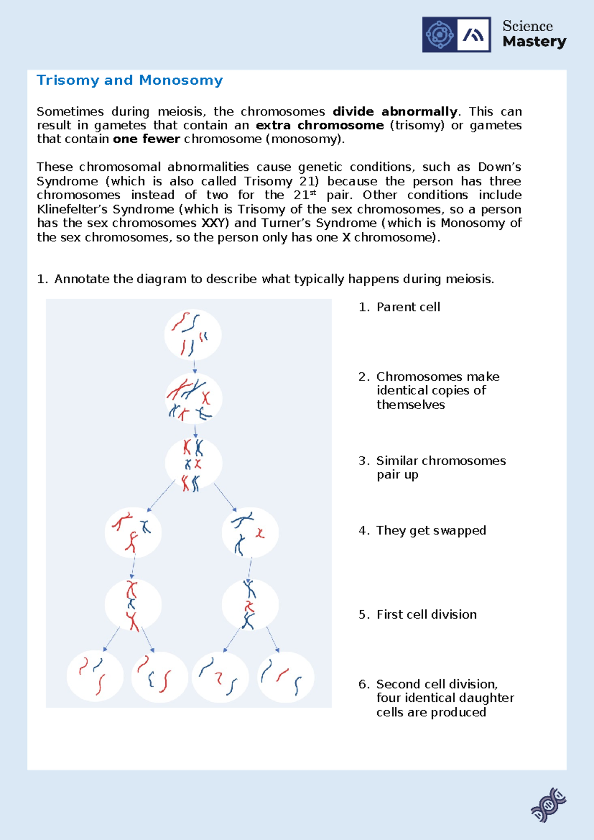 03 B3.3.10 Trisomy and Monosomy - Trisomy and Monosomy Sometimes during ...