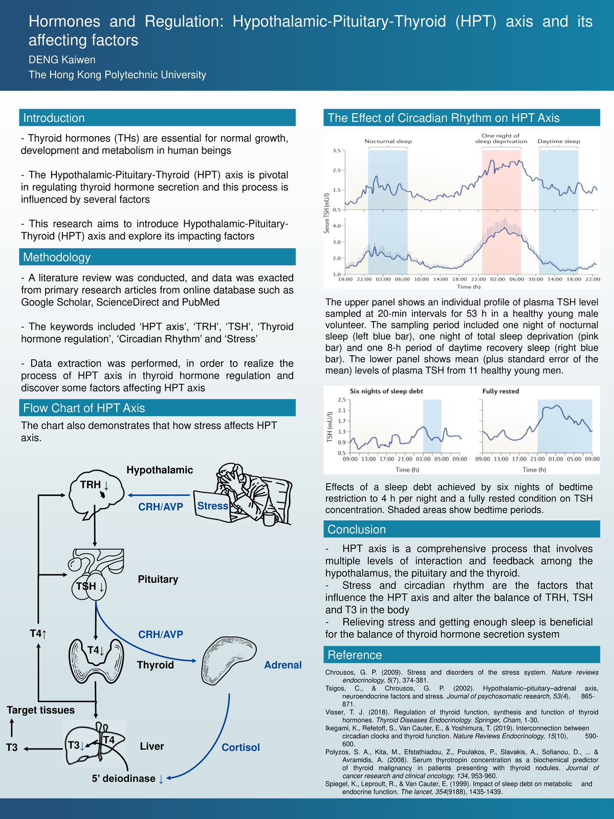 ABCT1D04/ABCT1101 Poster - Hormones and Regulation: Hypothalamic ...