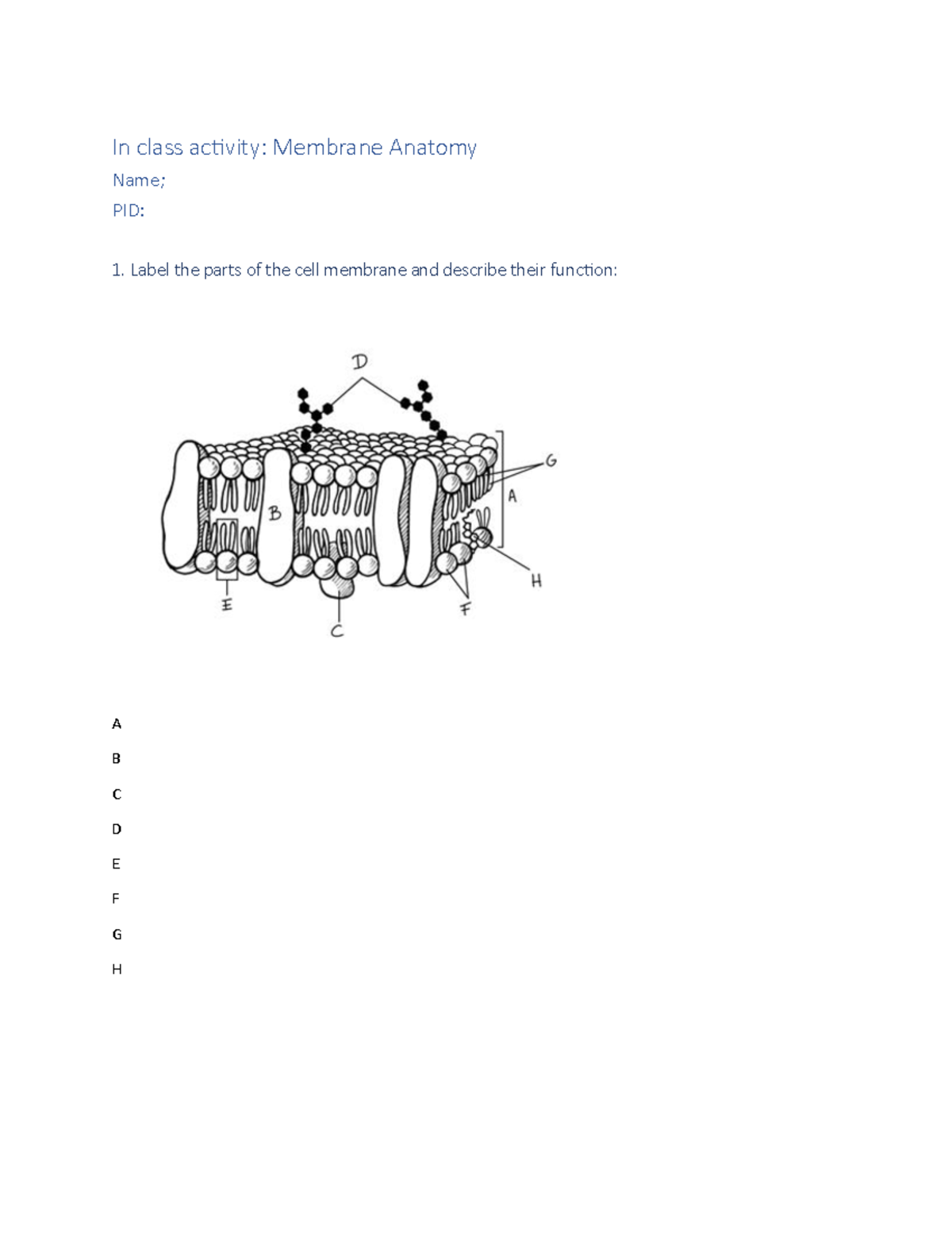 In class activity Membranes - Label the parts of the cell membrane and ...