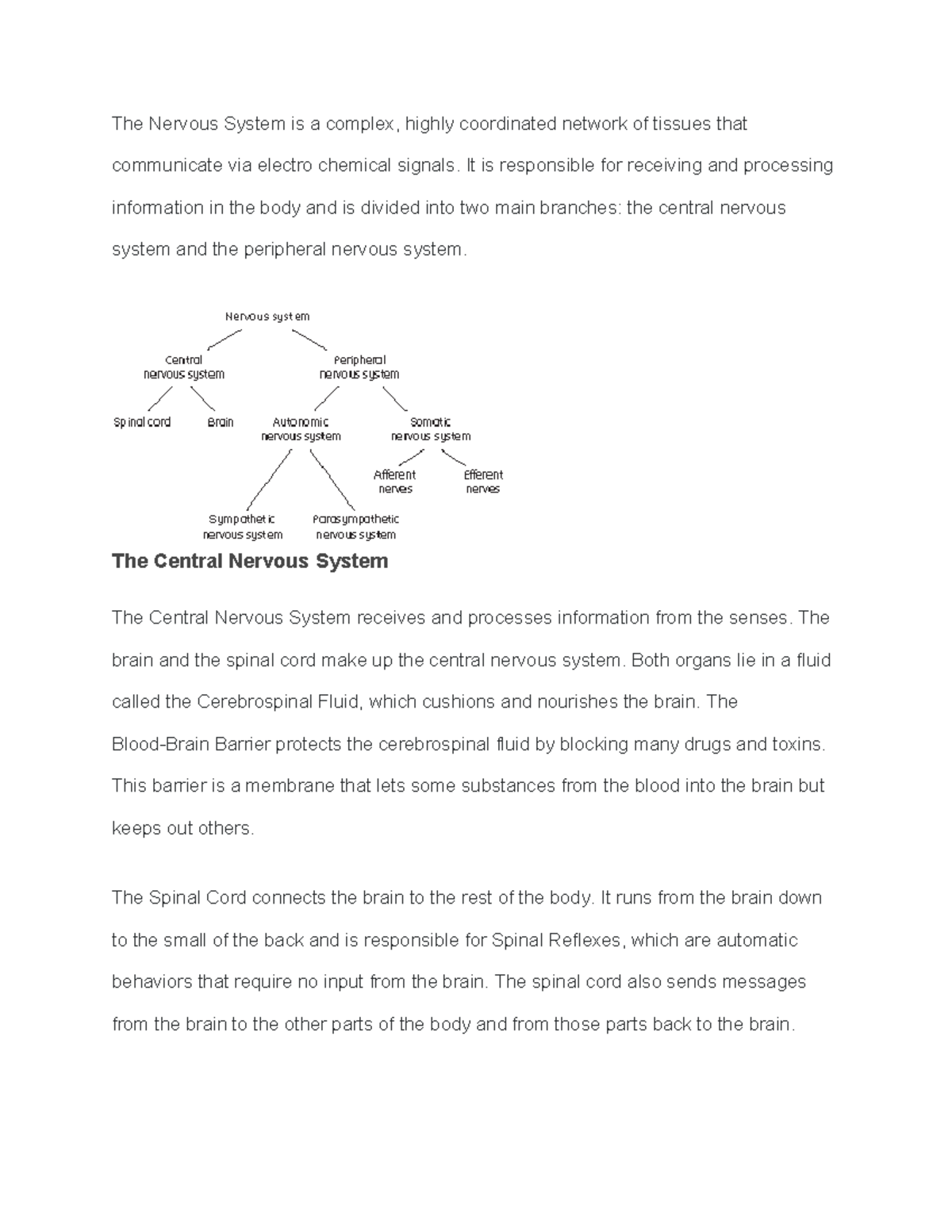 Nervous system - Lecture notes 1 - The Nervous System is a complex ...
