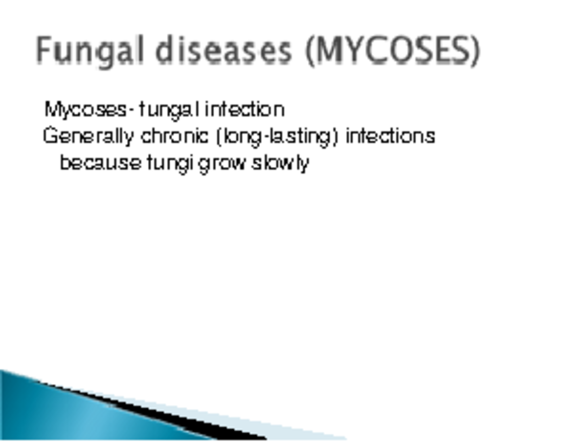Myco dermatomycoses 2024 - Mycoses- fungal infection Generally chronic ...