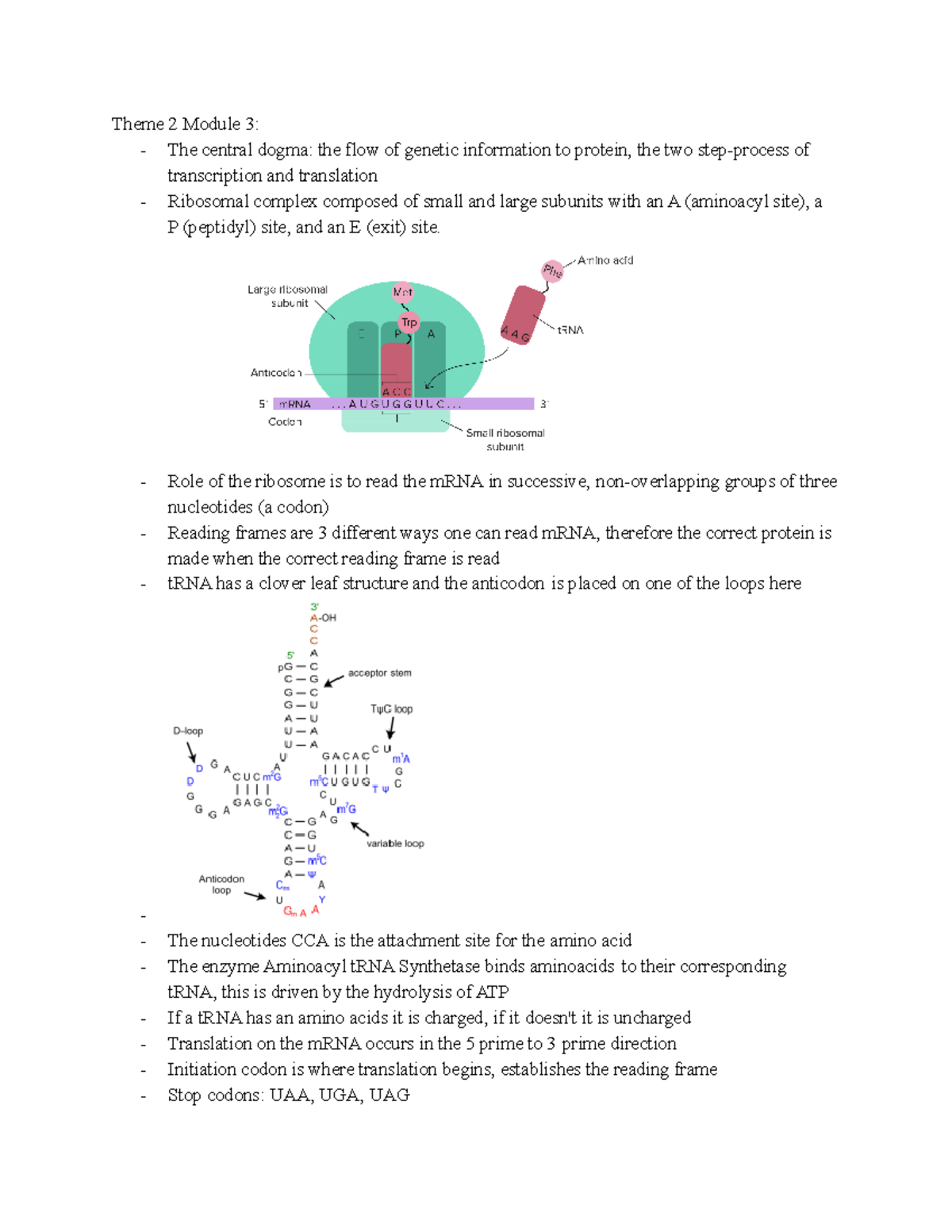BIO 1A03 Test 2 Textbook Notes - Theme 2 Module 3: - The central dogma ...