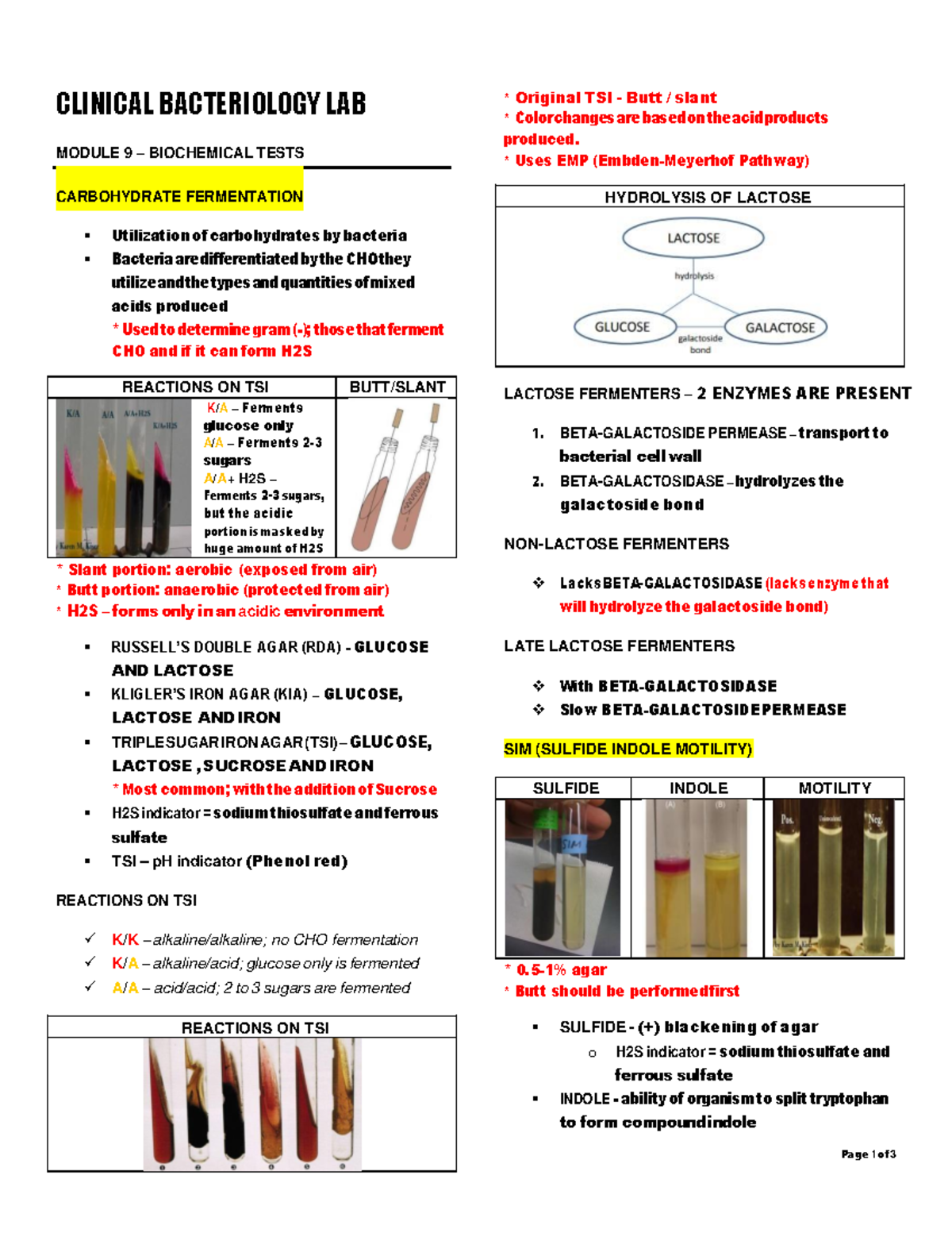 Clinical Bacteriology LAB - Module 9 (Biochemical Tests) - Page 1 of 3 ...