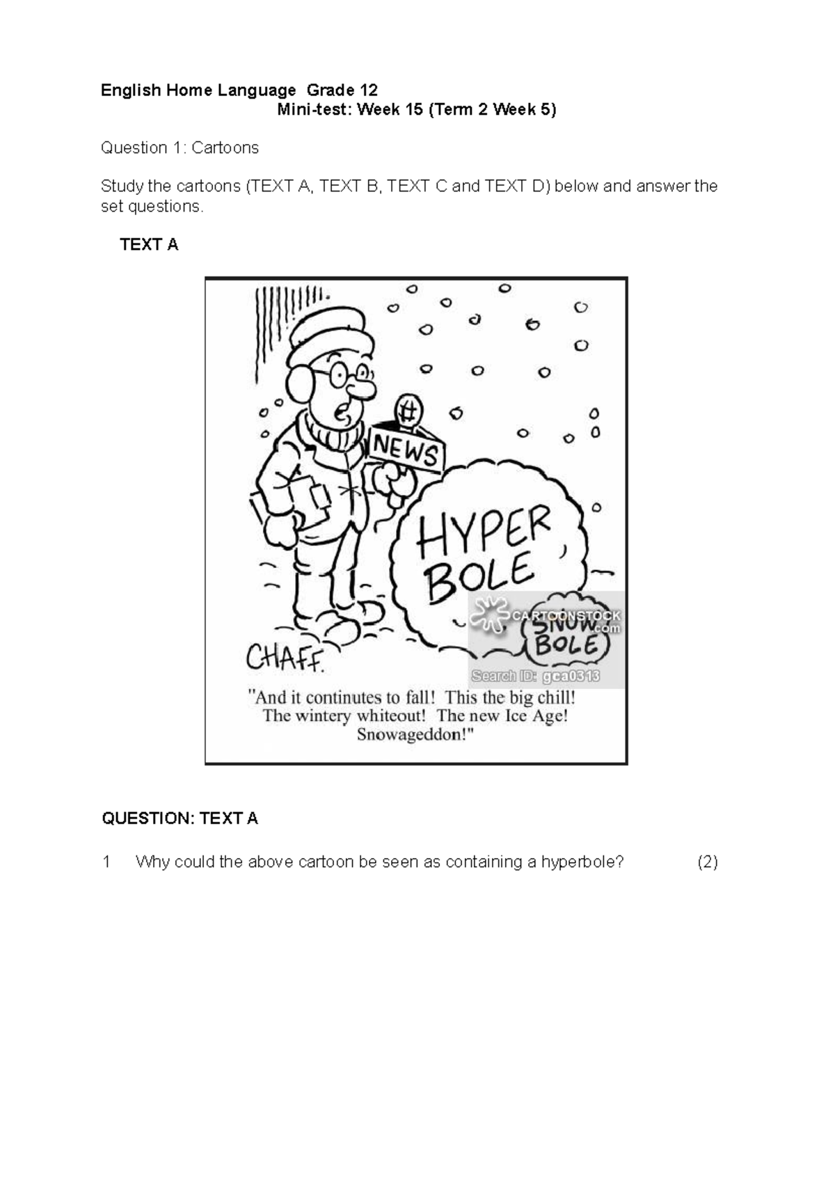 ENG HL Gr 12 Mini test Term 2 week 5 Cartoons - English Home Language ...