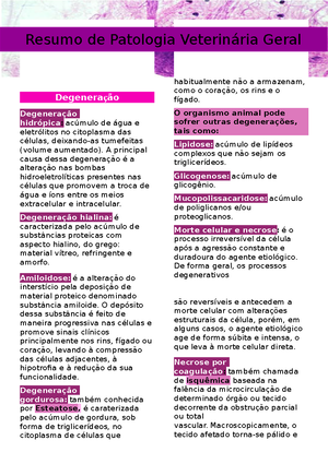 Resumo Processos Patológicos - Resumo Processos Patológicos Patologia ...