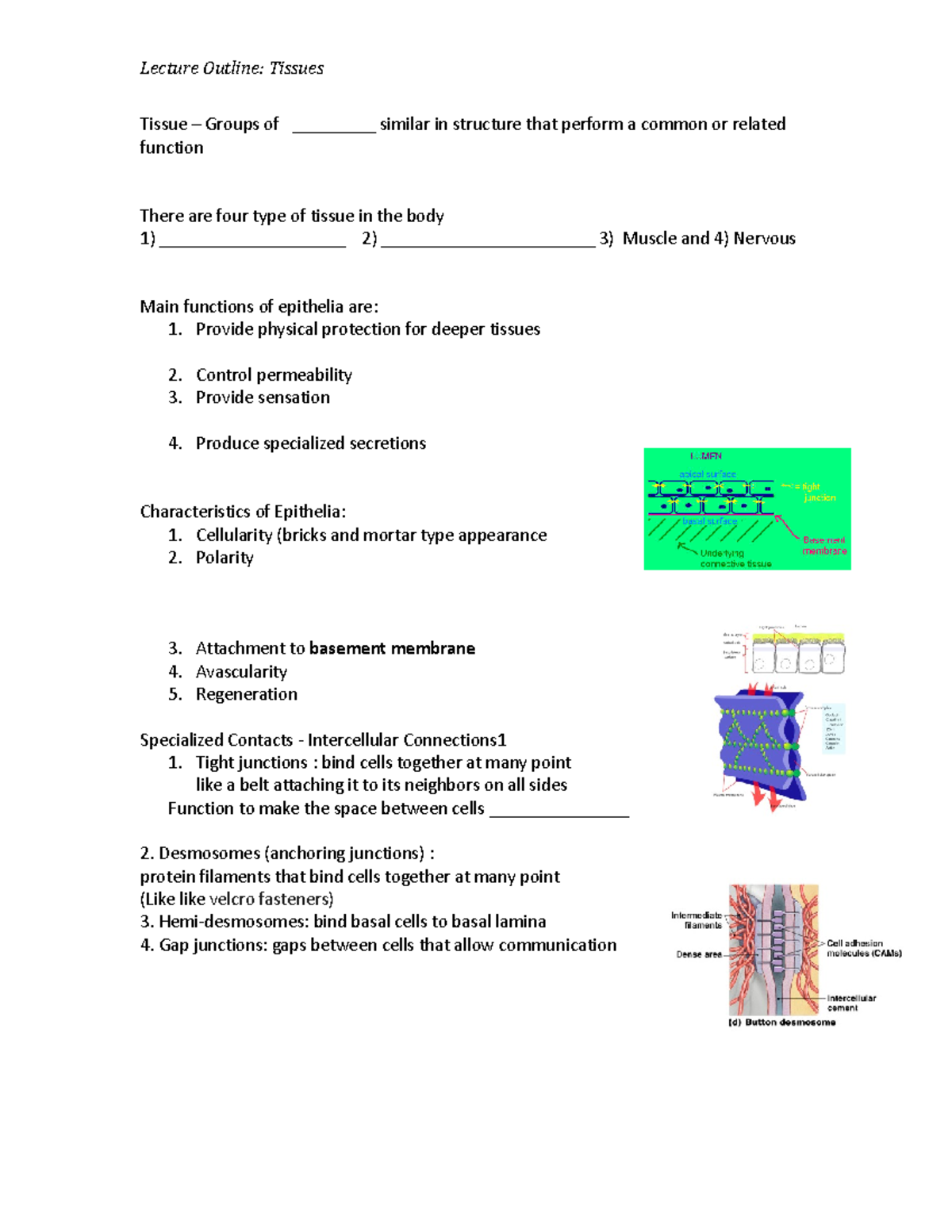 Lecture+Outline-+Tissuesu - Tissue – Groups of _________ similar in ...