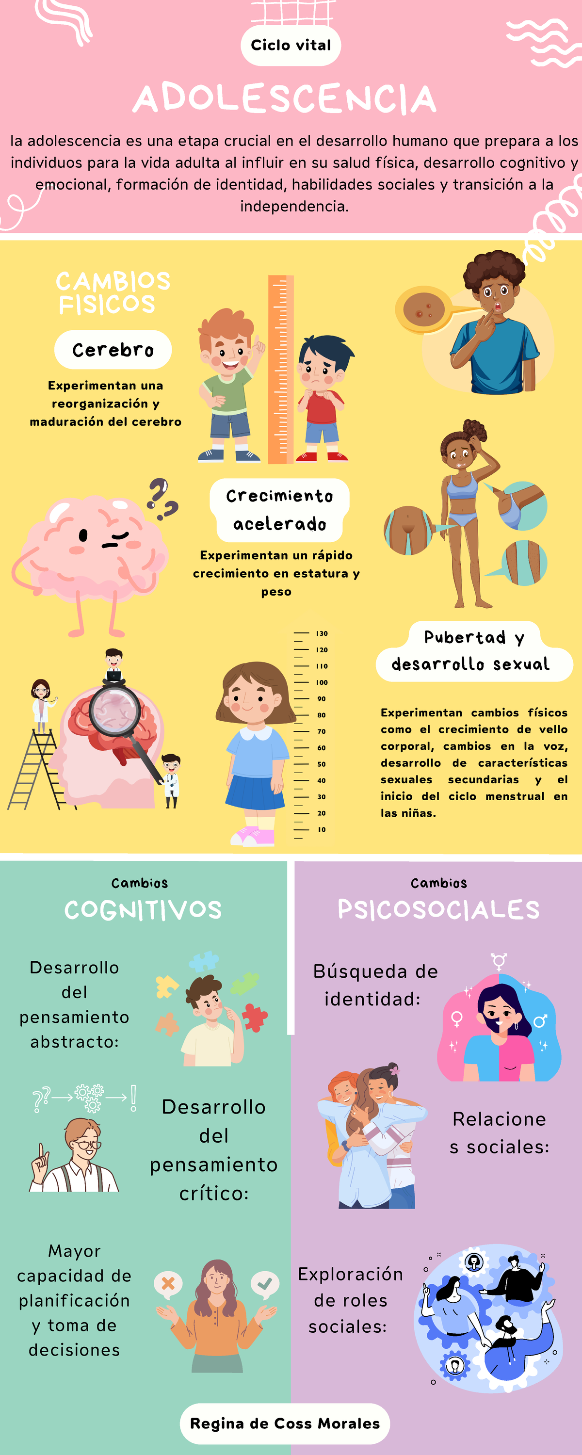 Infografia ciclo vital - ADOLESCENCIA CAMBIOS FISICOS COGNITIVOS ...
