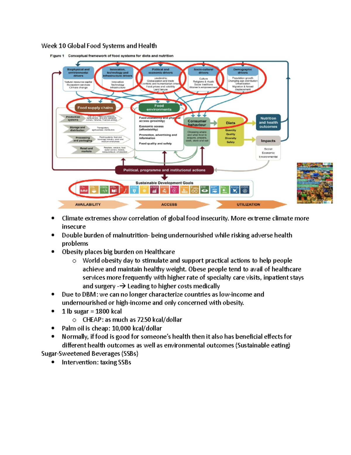 Week 10 Global Food Systems and Health - Week 10 Global Food Systems ...