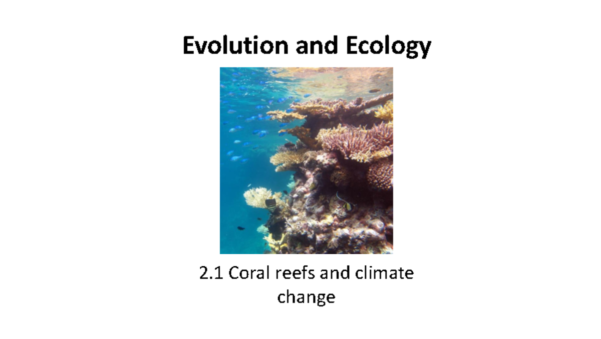 2.1-2 Corals and climate change and OA - 2 Coral reefs and climate ...