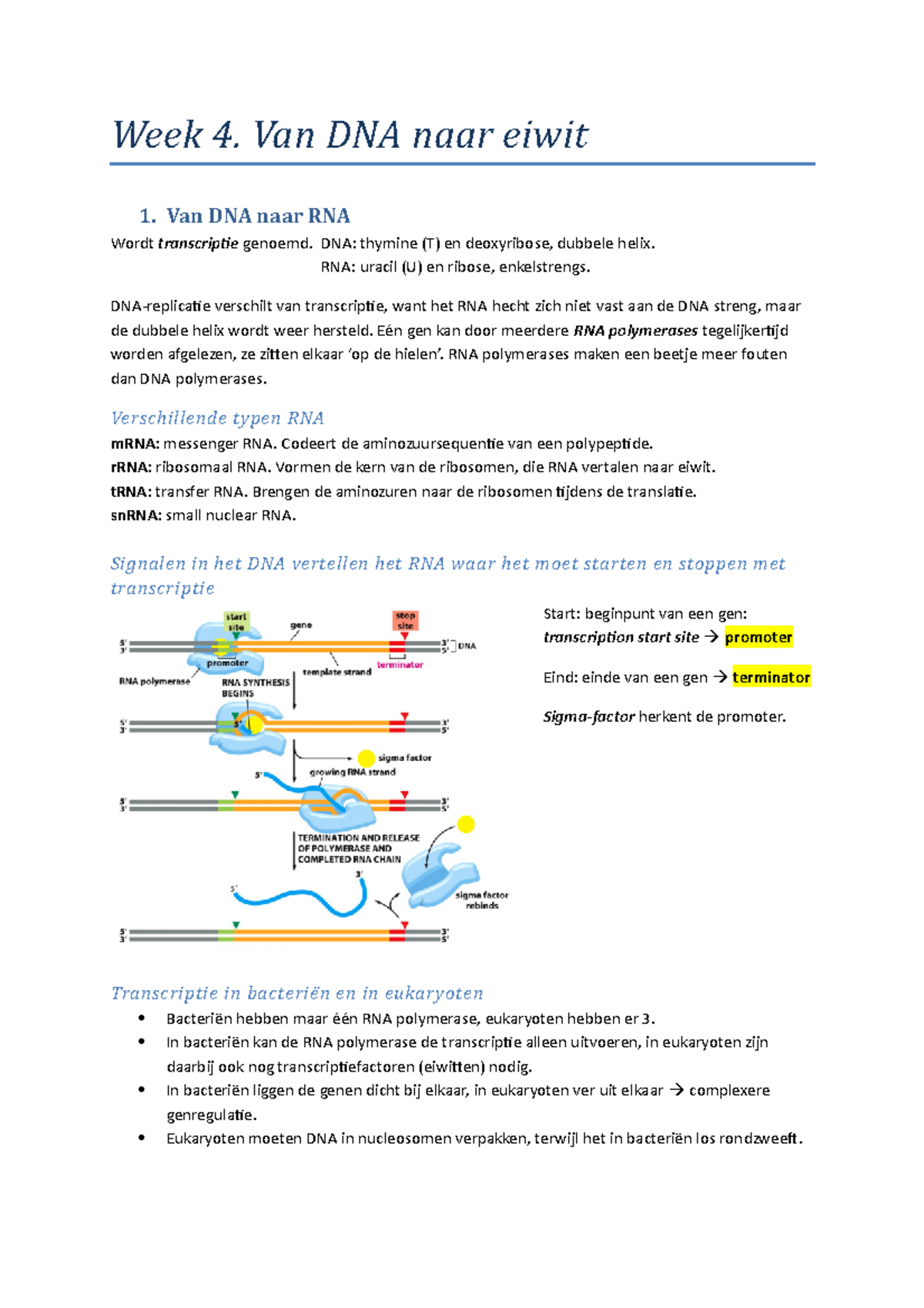 Chapter 7 - Samenvatting Essential Cell Biology - Week 4. Van DNA naar ...