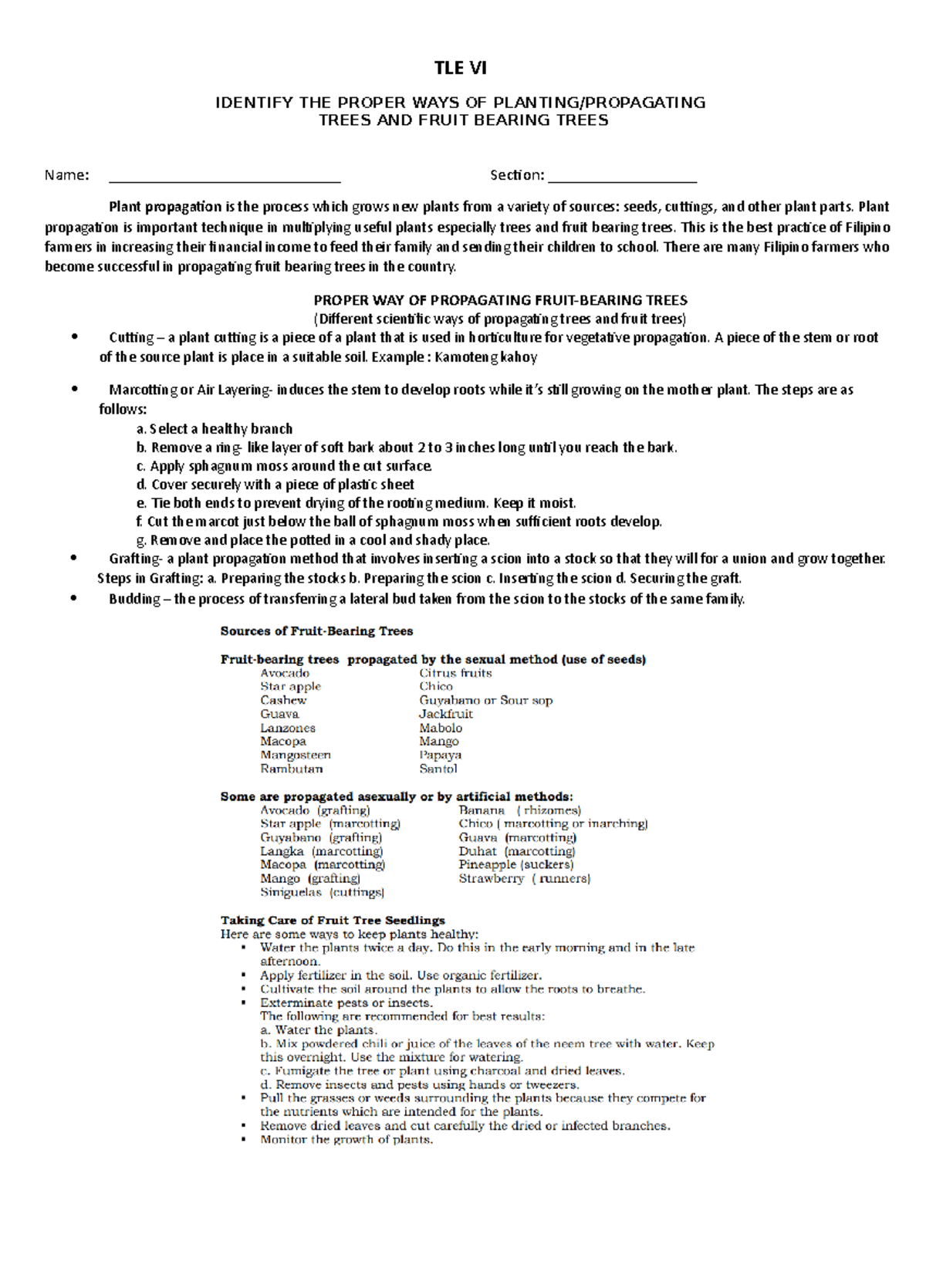 TLE VI-wk 4 LAS - TLE NOTES 6 - TLE VI IDENTIFY THE PROPER WAYS OF ...