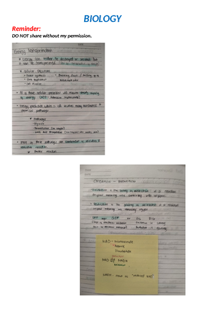 Balanced objective-review-or-criticism- Activity - 16julianas.weebly ...