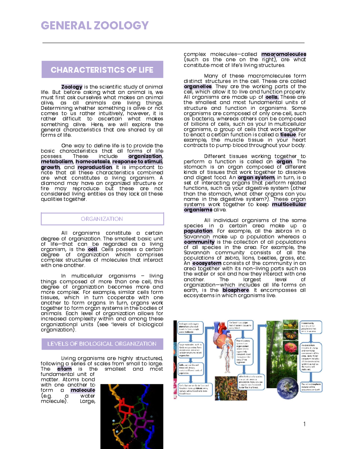 Premidterms - General Zoology - San Carlos - Studocu