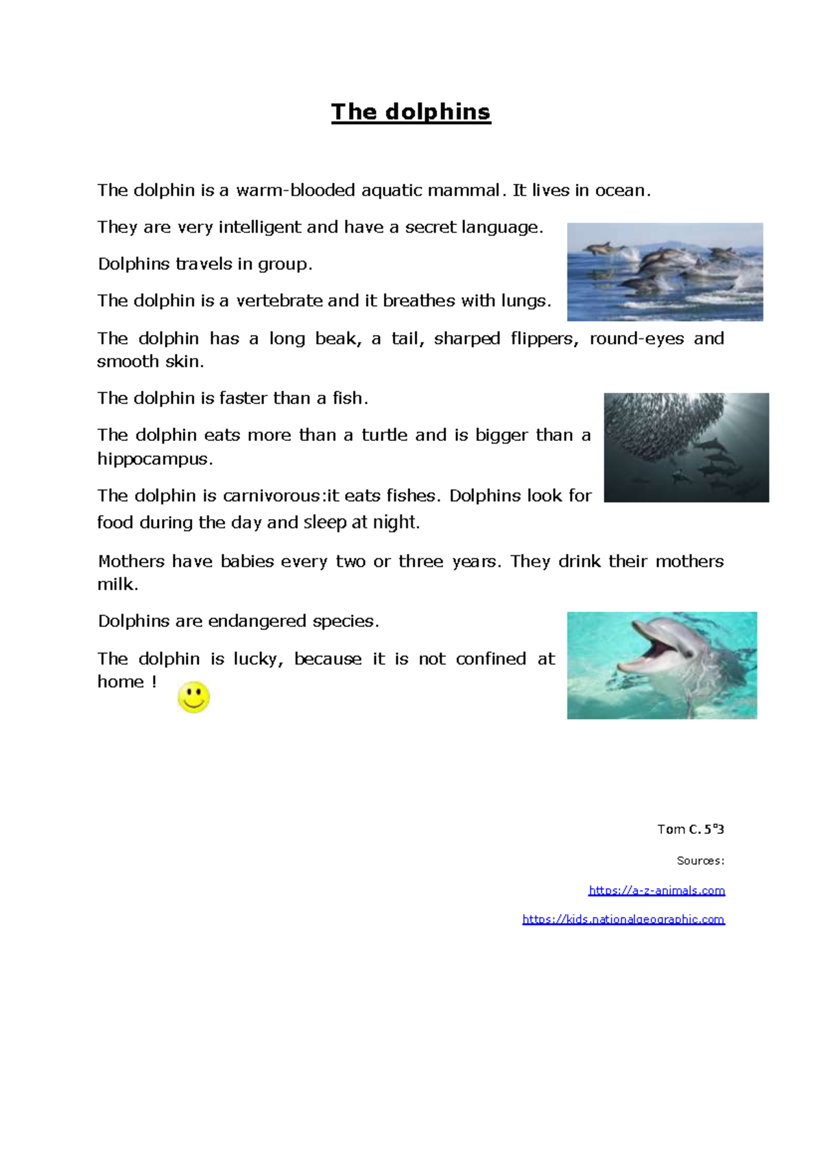 English animal Cassaro - The dolphins The dolphin is a warm-blooded ...