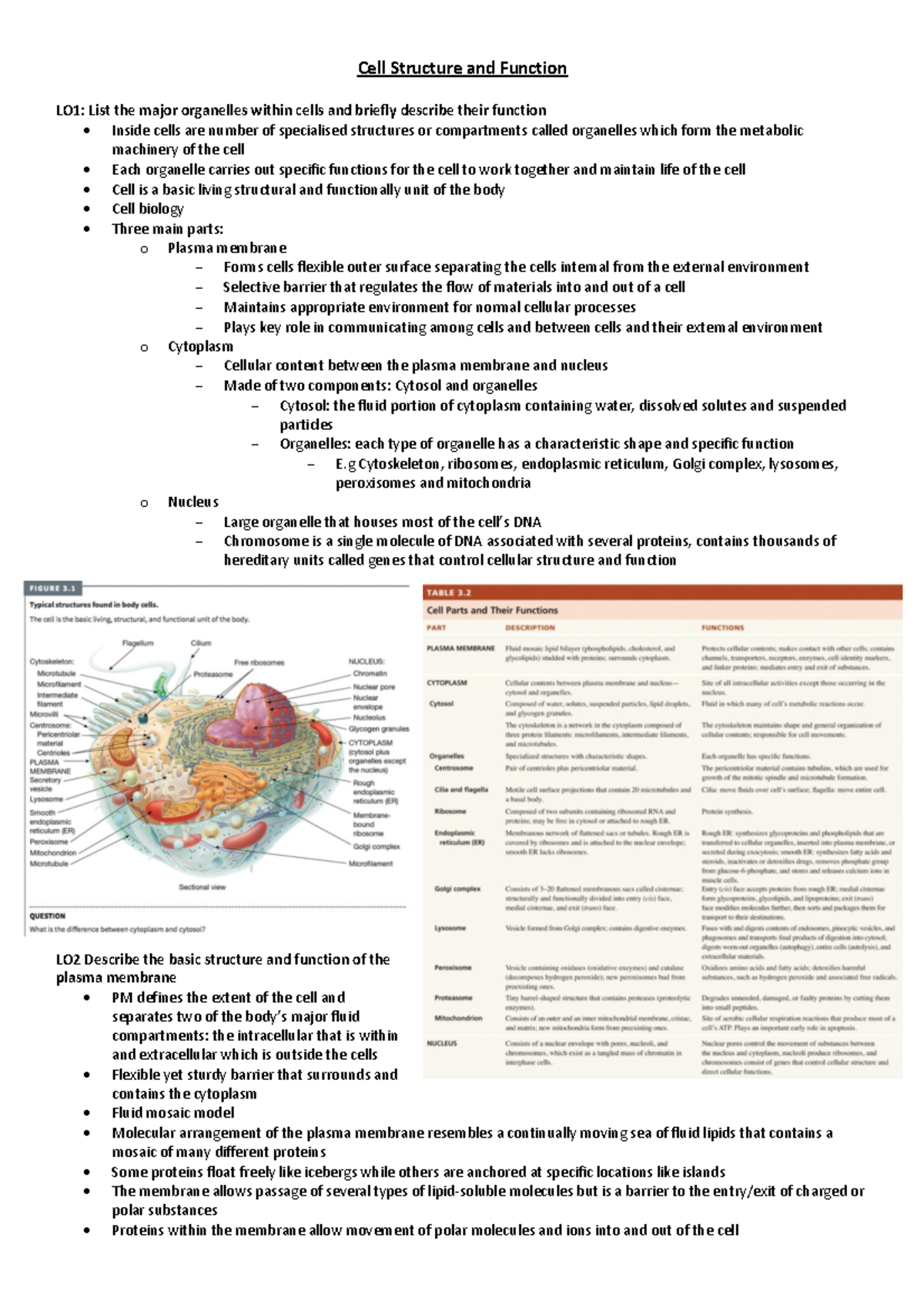Cell Structure and Function - Studocu