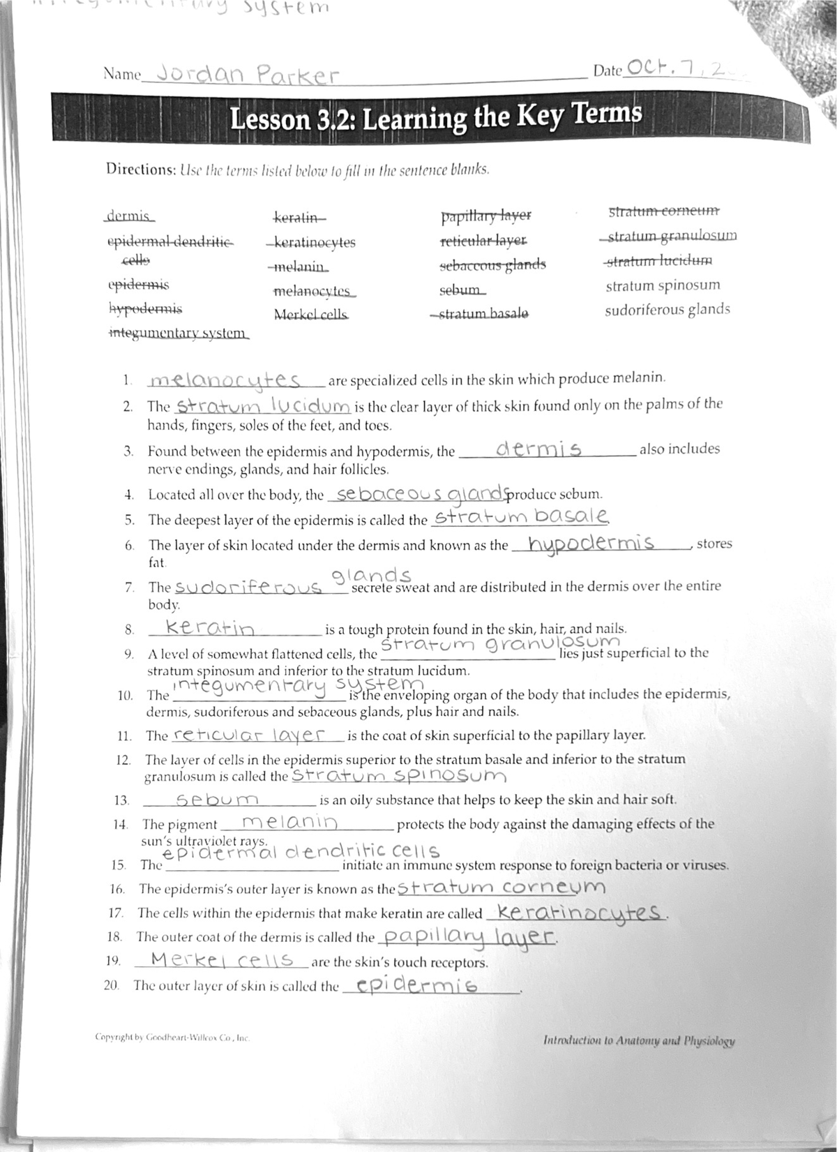 Lesson 3.2: Layers Of Epidermis - system Name Jordan Parker Date OCH,2 Lesson 3: Learning the ...
